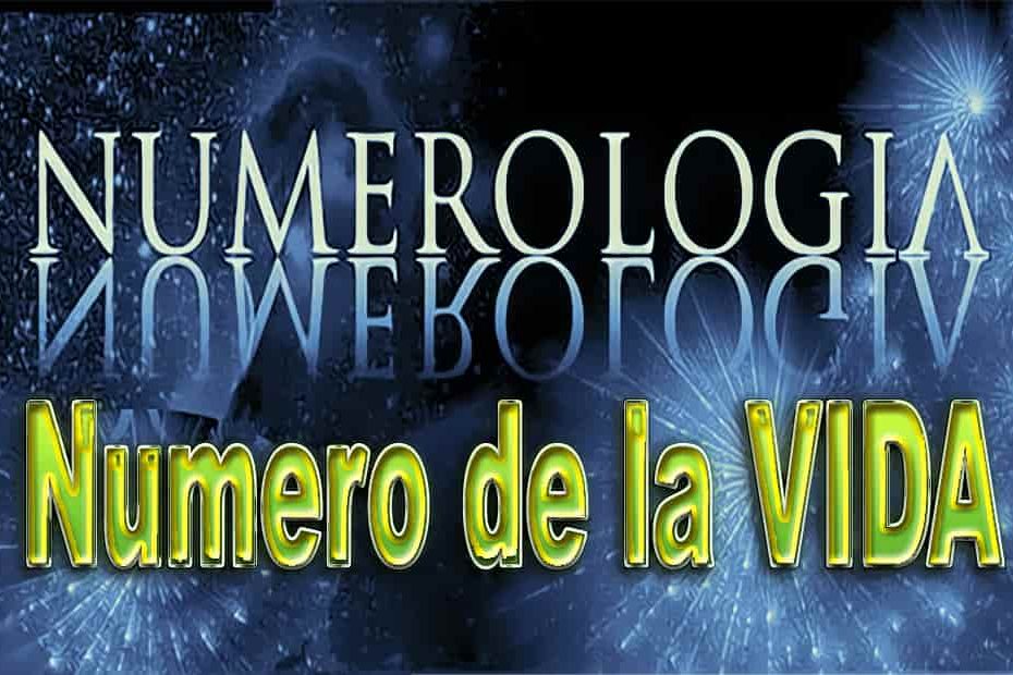 Qué es el NÚMERO DE LA VIDA en la Numerología 1 2 3 4 5 6 7 8 9 11 22